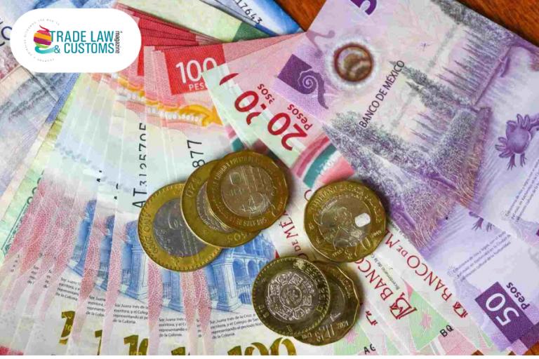 El Salario Mínimo De México Aumentará Un 20 En 2024 Con Consenso De