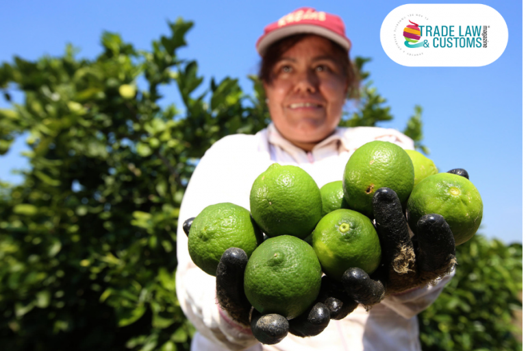 La producción agroalimentaria de México caerá un 1,9 % en 2024 por la ...