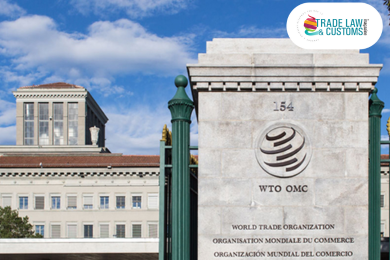 Informe anual 2024 de la OMC – TLC Magazine México